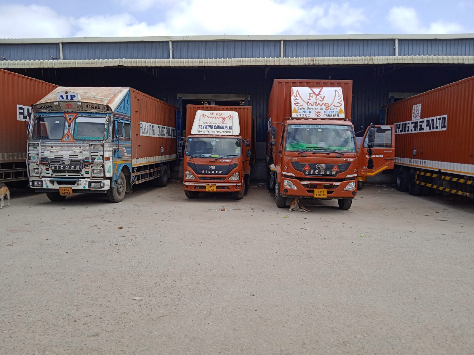 flywings – Cargo Services